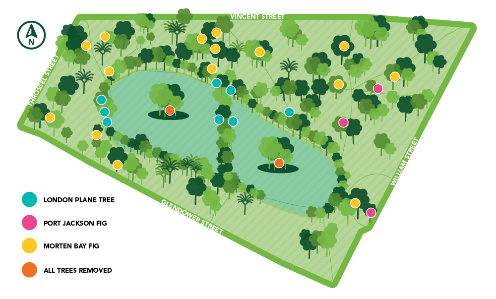 Trees to be felled at Hyde Park due to PSHB infestation later this ...