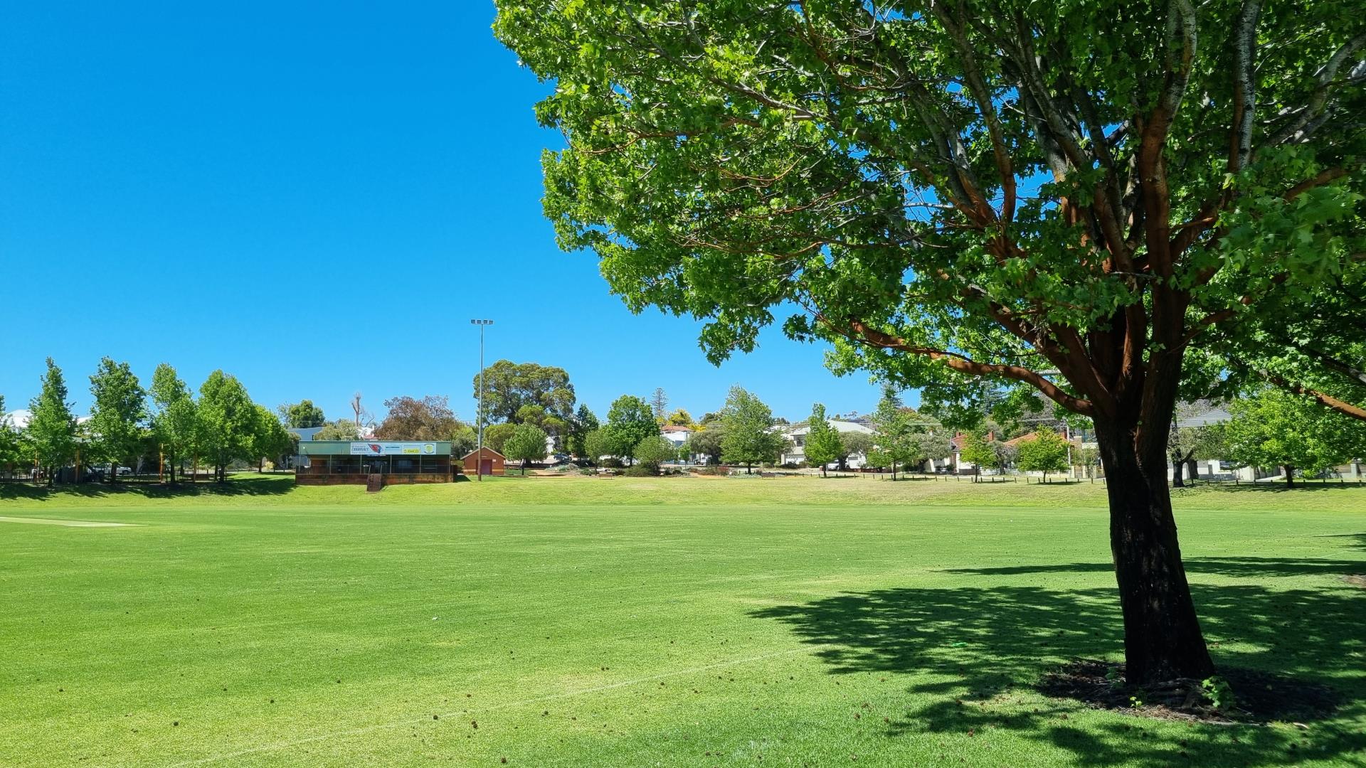 News Story - Vincent to address flooding hotspot areas in new strategy ...